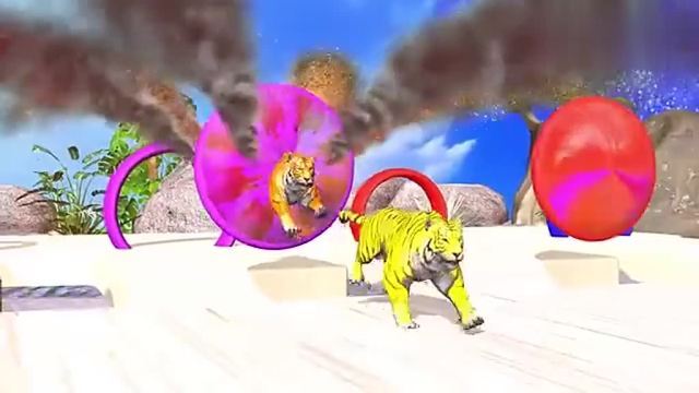 儿童卡通片:萌萌哒小动物进行有趣的杂技表演