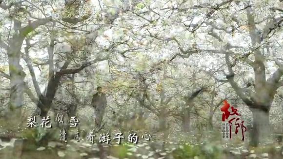 赵州桥动画版,你见过吗?
