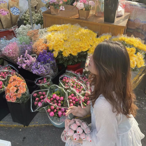 君士坦丁堡的城墙 