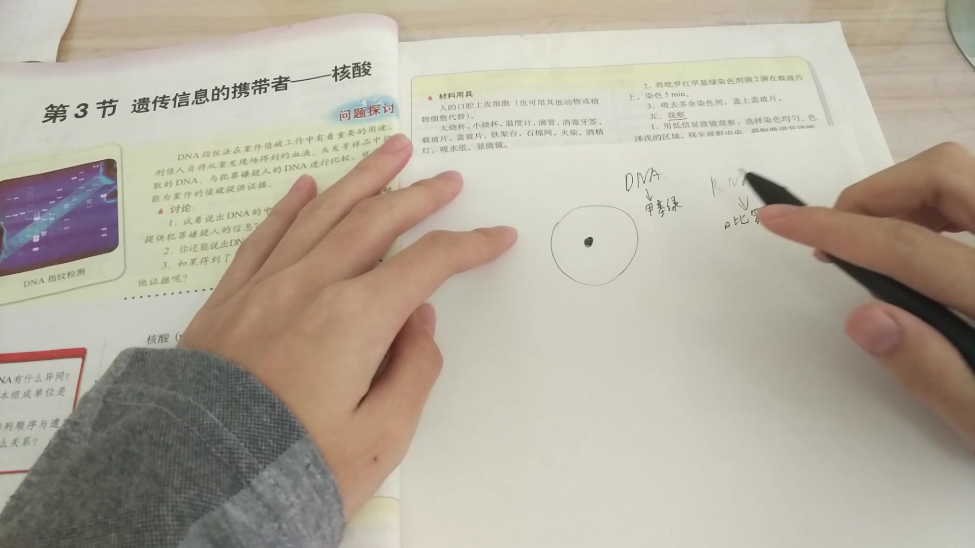 今天我们来聊聊核酸