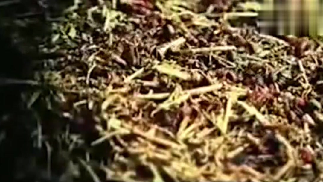 宇宙为什么刚好选中你? 揭秘轮回的真相