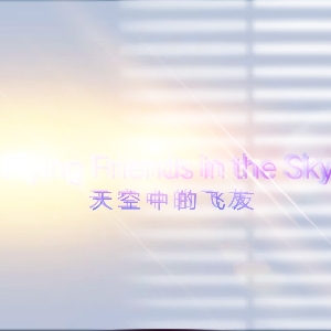 天空中的飞友 