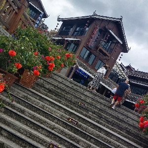 McCoy游戏日常分享 