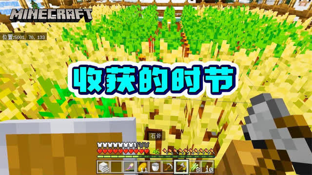 我的世界1.16版联机14:菜园里的麦子终于熟了