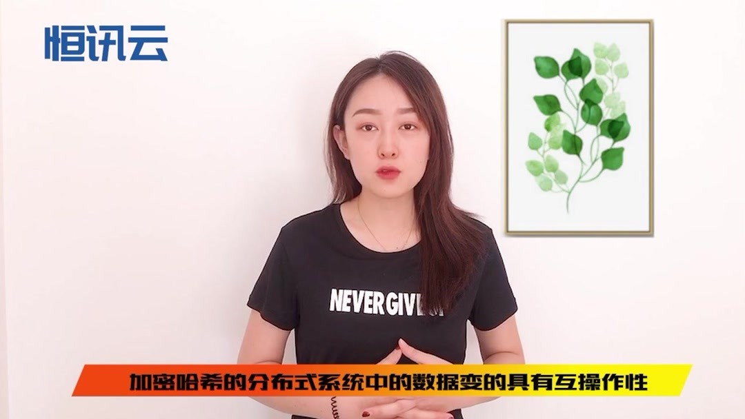 IPFS中的IPLD项目是什么——恒讯云