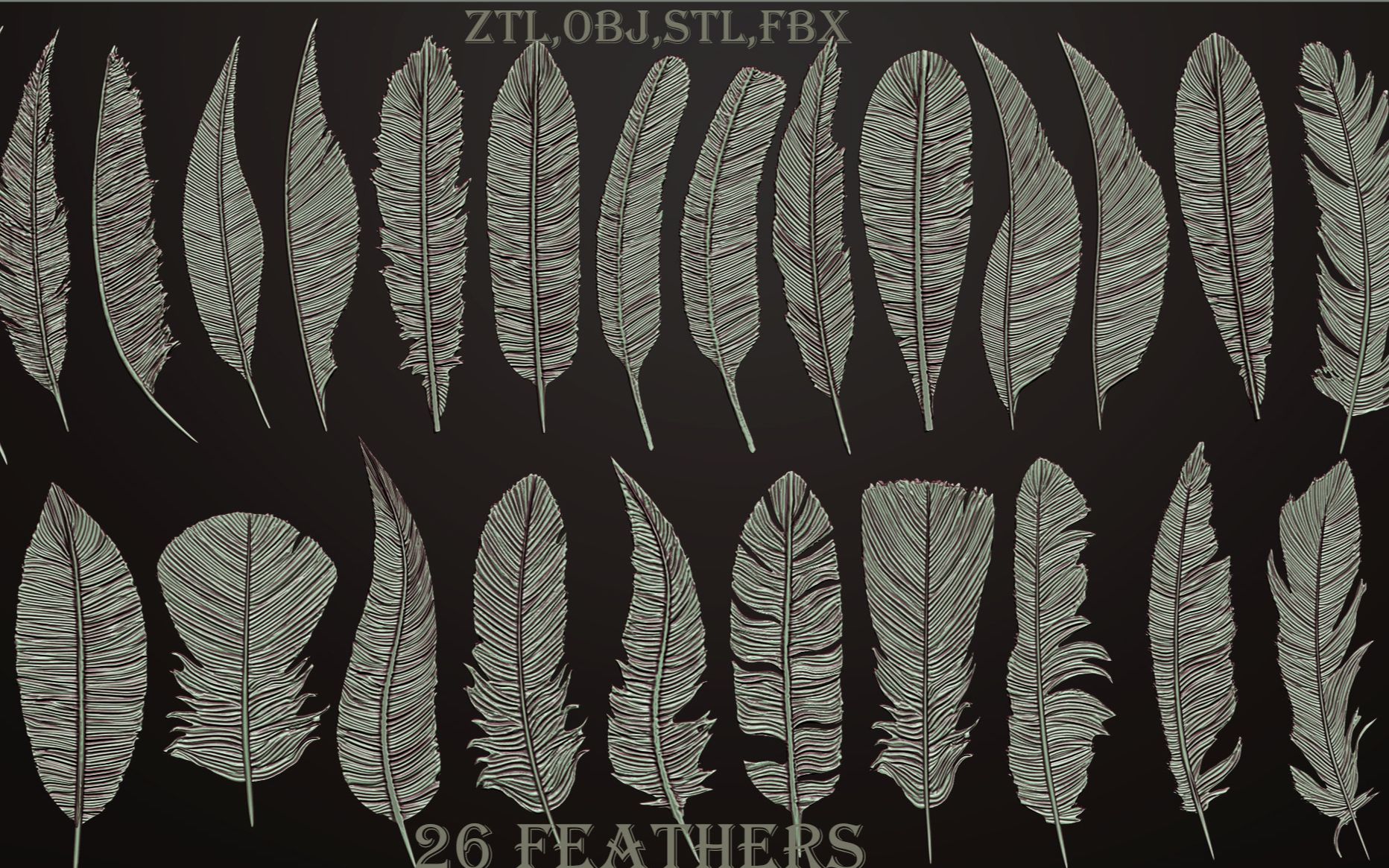 ...零基础小白必学,怎么用3dmax和zb做出好看的羽毛 【zbrush笔刷zbru...