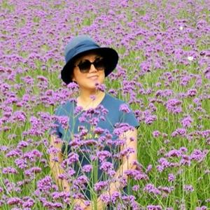 金心怡6537976205030 