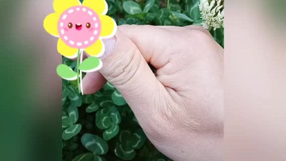 美丽的花儿竞相开放!