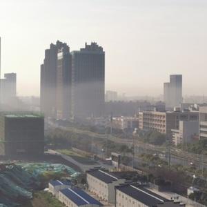 小七探员 