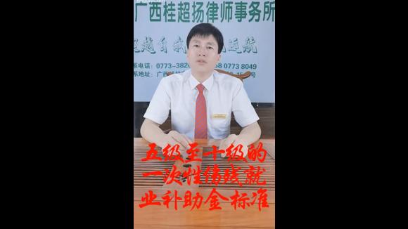 五级至十级伤残的一次性伤残就业补助金标准