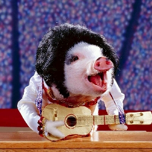 布溜布溜动物园 