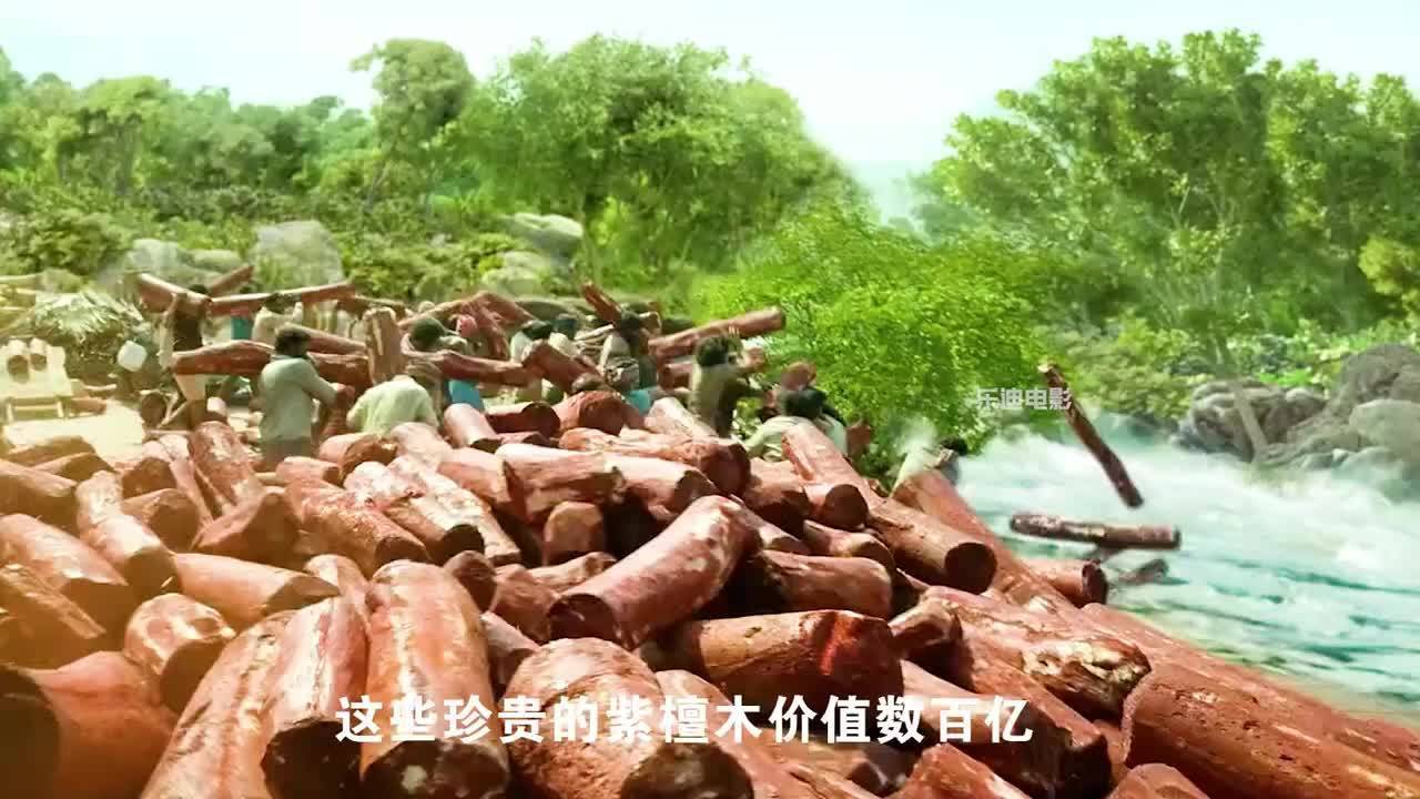 2集:人类为了一己私利,毁坏千年森林
