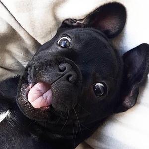 起个名就这么费劲吗 