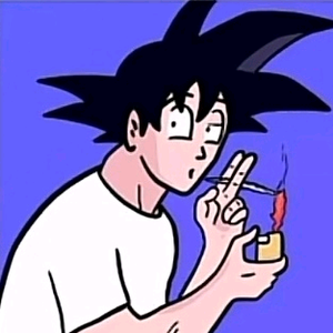 輕風留影 