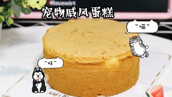满满的宠物戚风蛋糕制作干货,你不来做给你家毛孩子做一个吗?