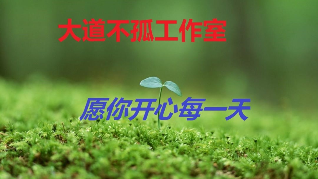 运动会开幕式开始了(一)