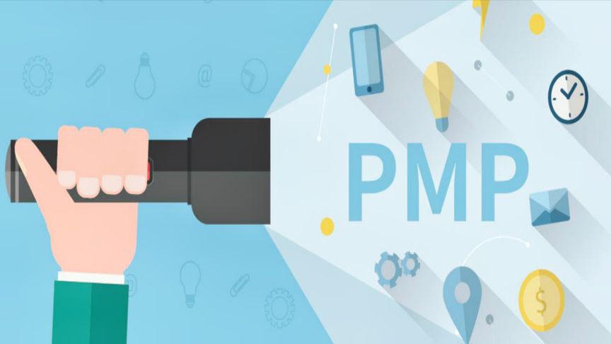 PMP-1-16-区分项目集与项目组合管理.mp4
