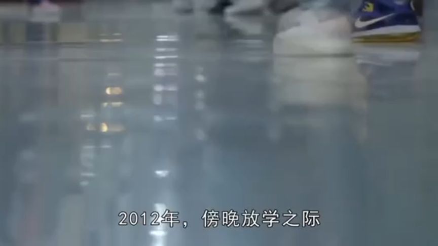 最美教师张丽莉