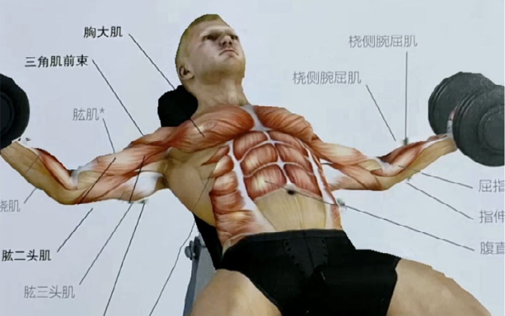 锻炼一周的训练计划安排,你们呢?