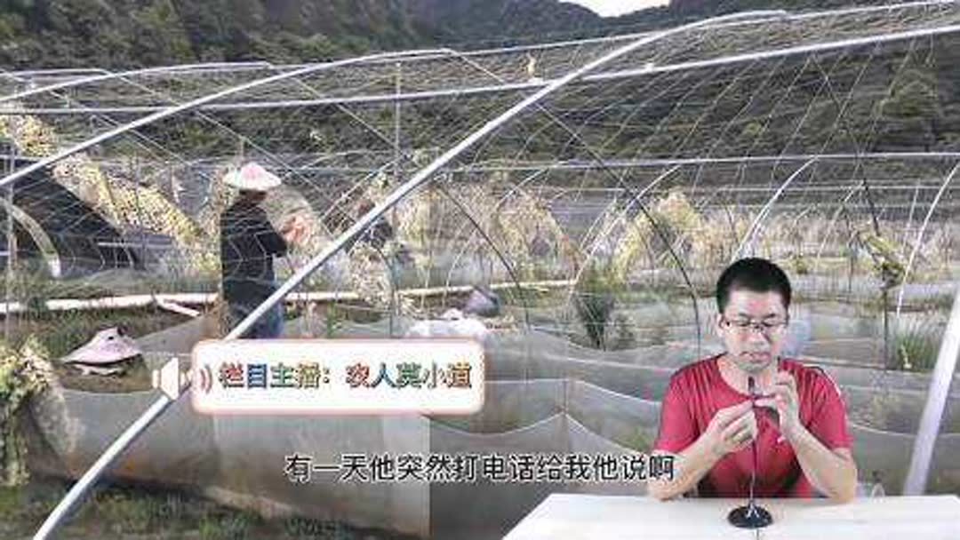 为何上游打个农药,下游养殖青蛙的场地就会中毒?什么原理