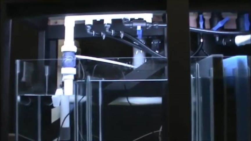 给鱼友们参考:一套完整的鱼缸底滤系统