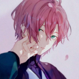 男蝶s解说 