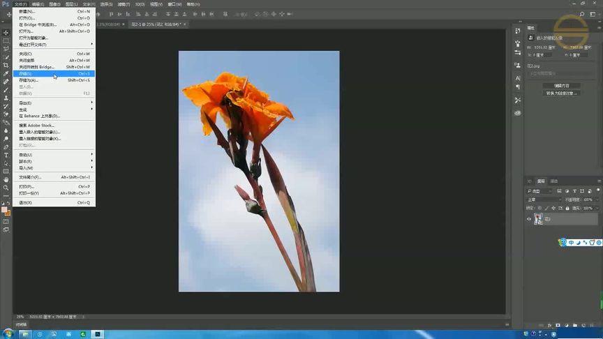 pscc2017基础教程:第6讲,文件的保存和文件格式的详解