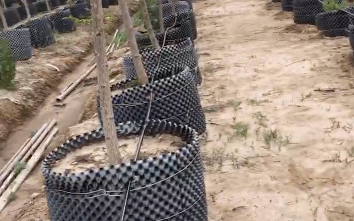 视察一个控根器模式的工地
