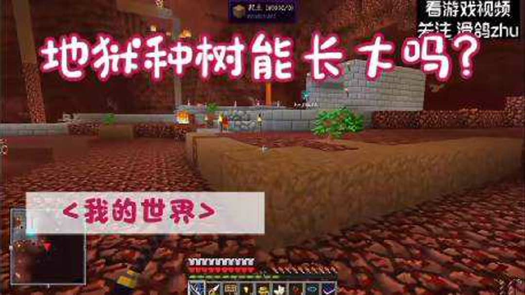 我的世界,在地狱种树
