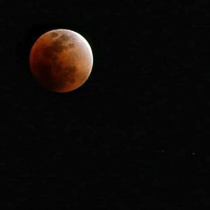 叶上初阳干宿雨 