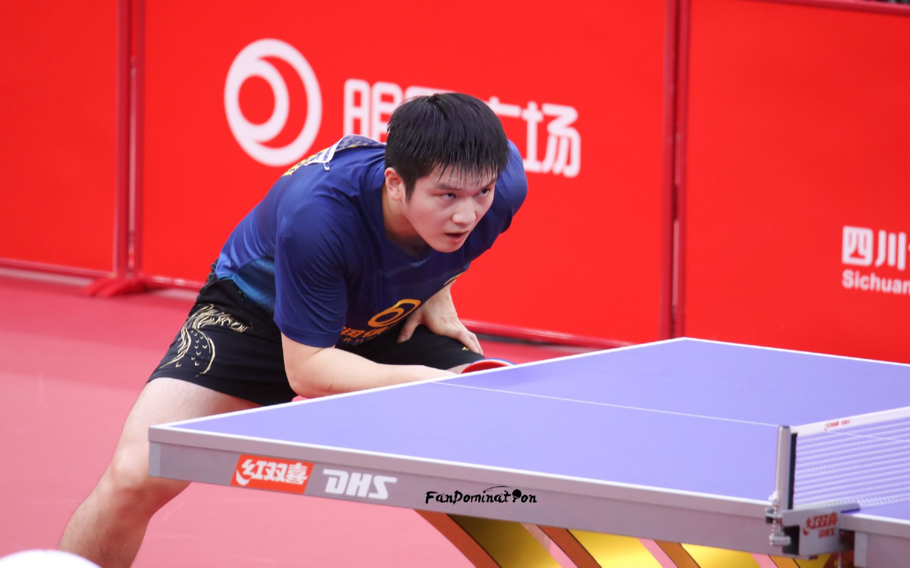 【樊振东精彩球-字幕解说版】