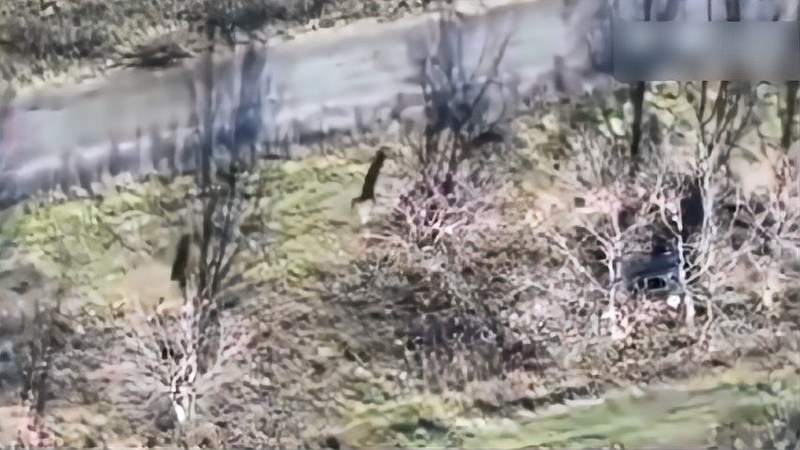 有神剑这种精确制导炮弹,对你进行精准打击,也就是所谓的炮狙