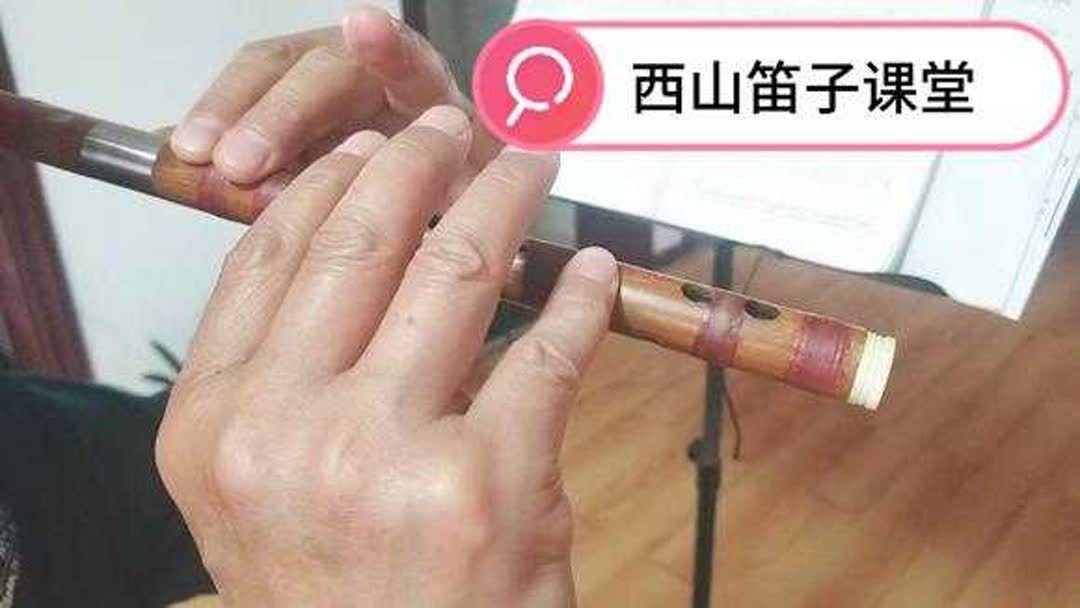 《毛主席话儿记心上》指法示范
