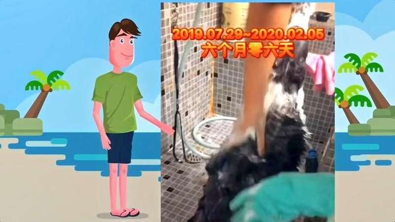 教你给狗狗正确洗澡的全流程
