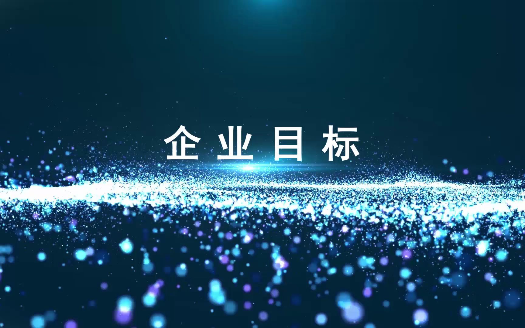 2企业目标视频