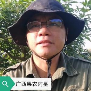 麻大哥 