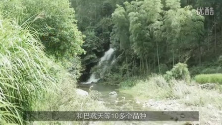 质量是怎么炼成的