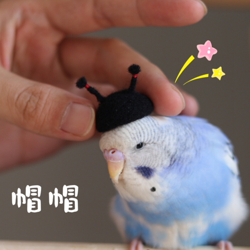 小半大魔王 