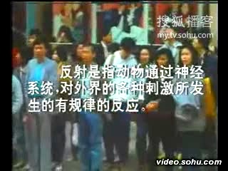 人体解剖学29内脏神经系统