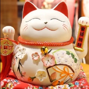 好物种草qaq 