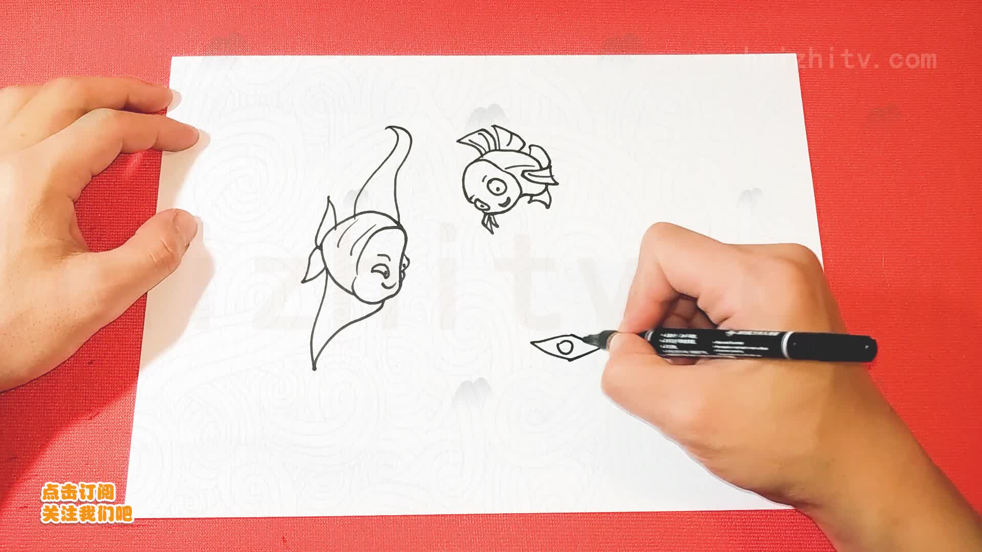 019动物简笔画教程,如何画爱的小珊瑚鱼,新计画儿童简笔画