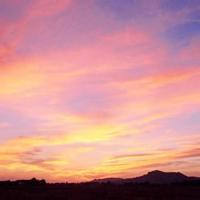 皑皑的汽车世界 