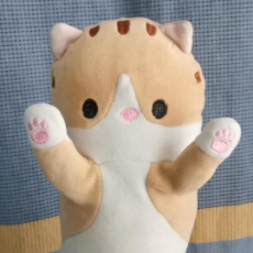 文科学生读万物 