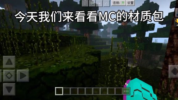 MC原来可以这么真实