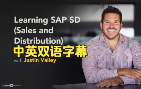 ...- Learning SAP SD (Sales and Distribution)学习SAP SD(销售和分销)