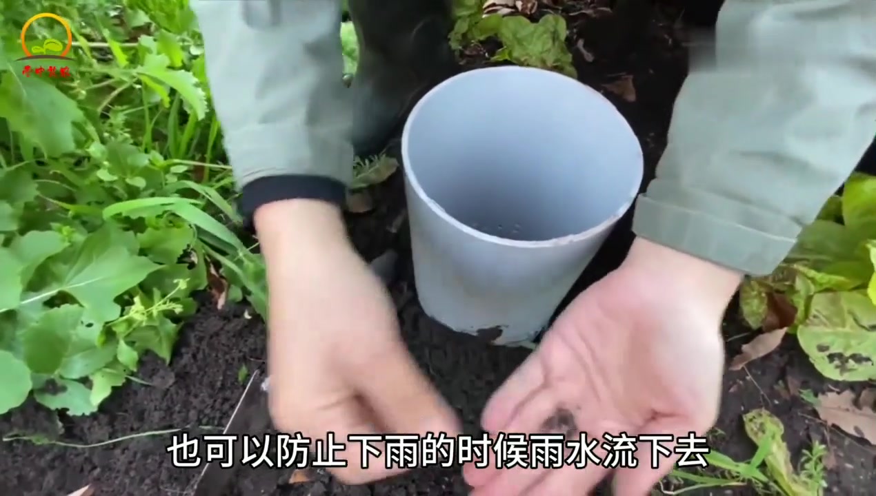 厨余垃圾不要丢,利用蚯蚓把肥做,养花种菜都可以,不花一分钱