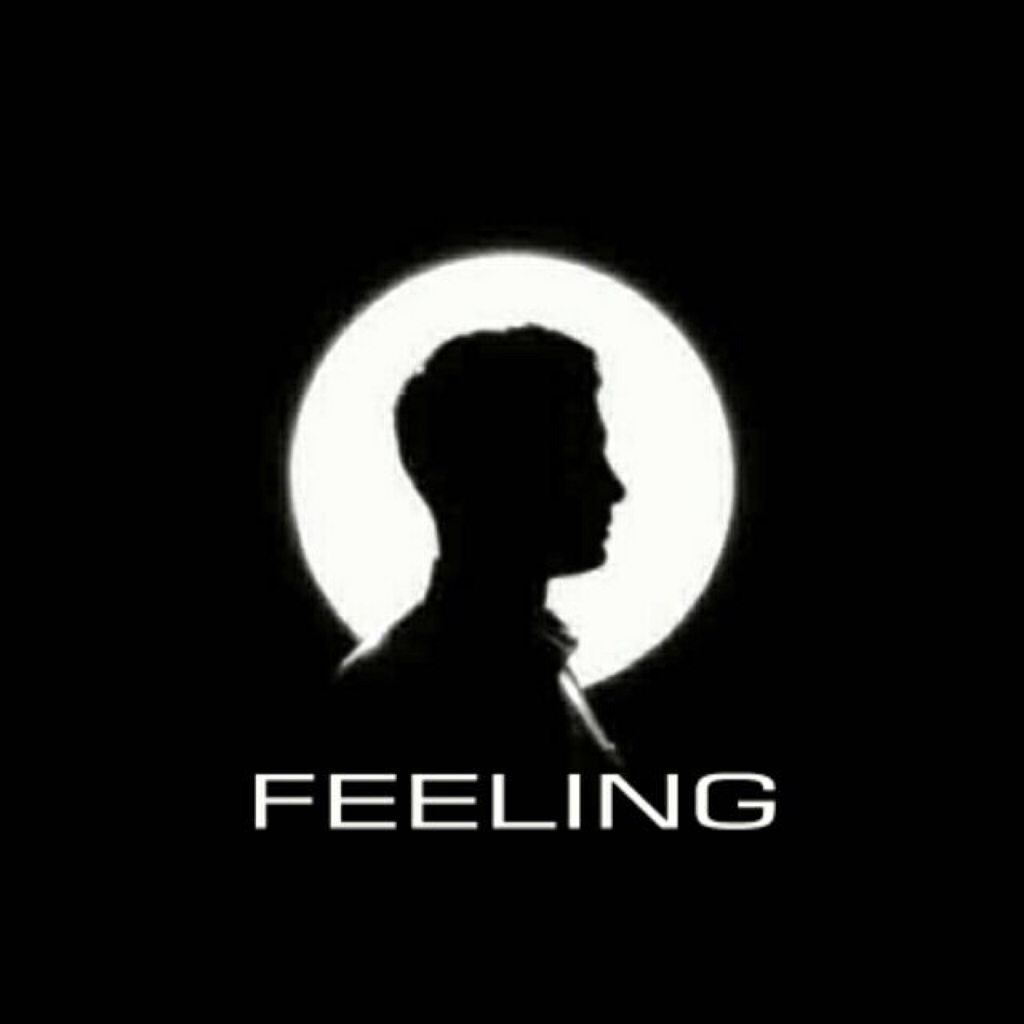 FEELINGshi 
