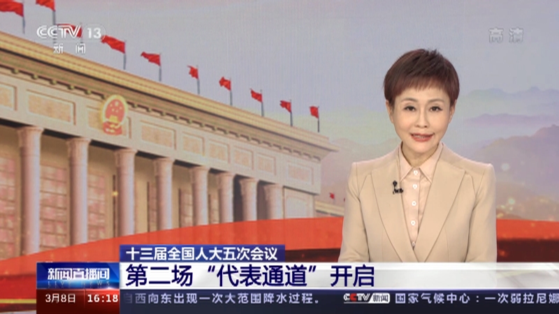 [新闻直播间]十三届全国人大五次会议 第二场“代表通道”开启