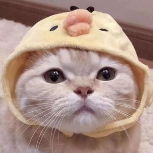 -藤和树里- 
