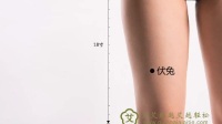 髀关穴: 腰痛膝冷、痿痹、腹痛